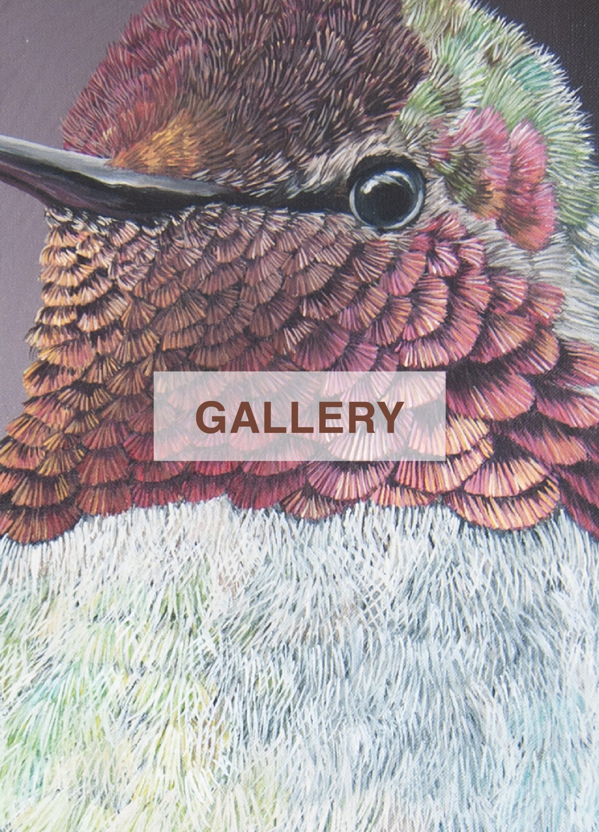 Charlotte Sutton Studio | Bringing Nature To Life