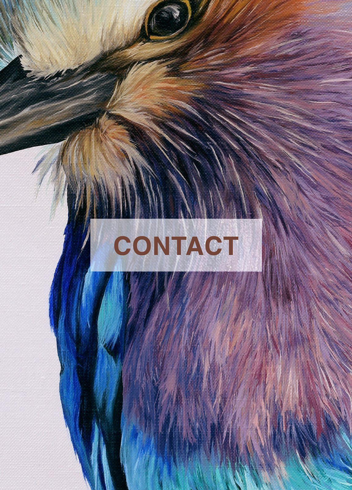 Charlotte Sutton Studio | Bringing Nature To Life