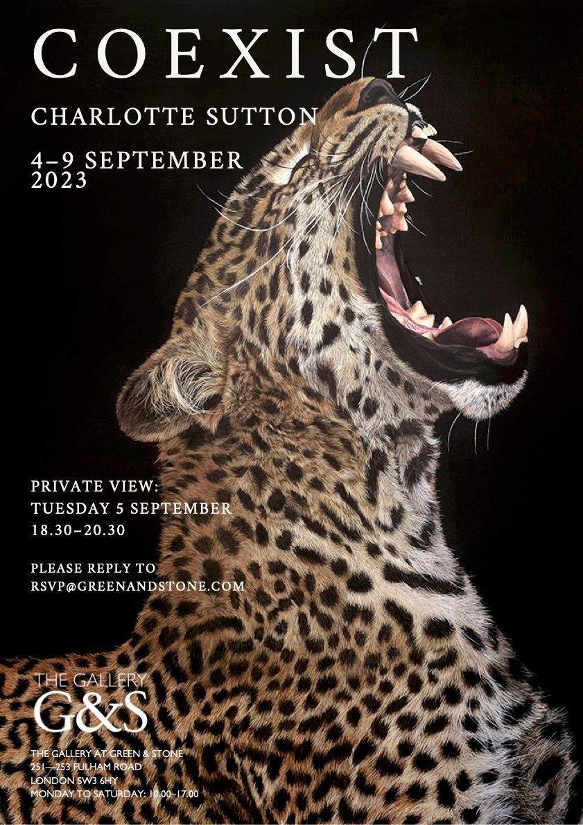 Charlotte Sutton Studio | Bringing Nature To Life