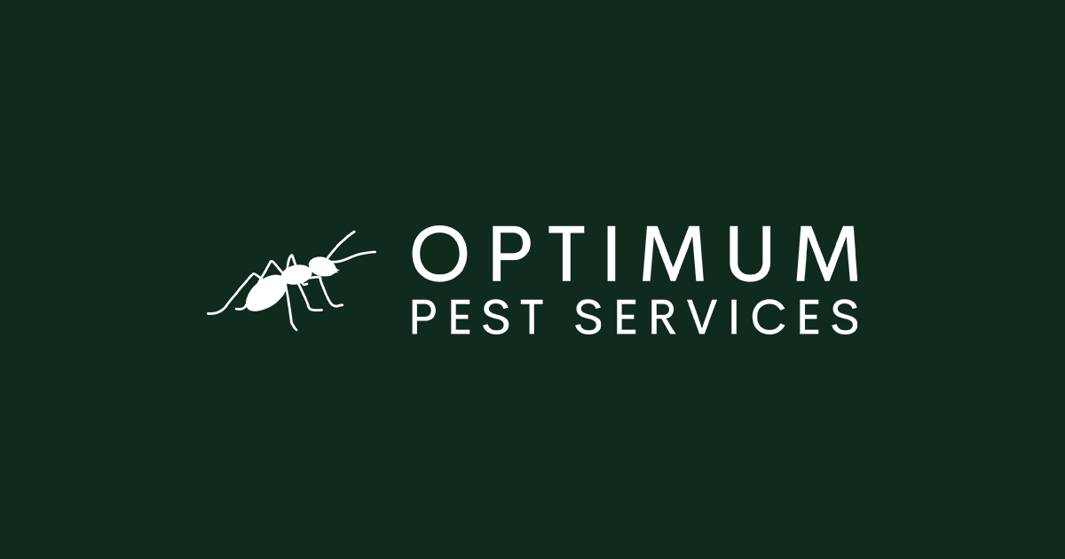 Pest Control Cairns | Optimum Pest Services