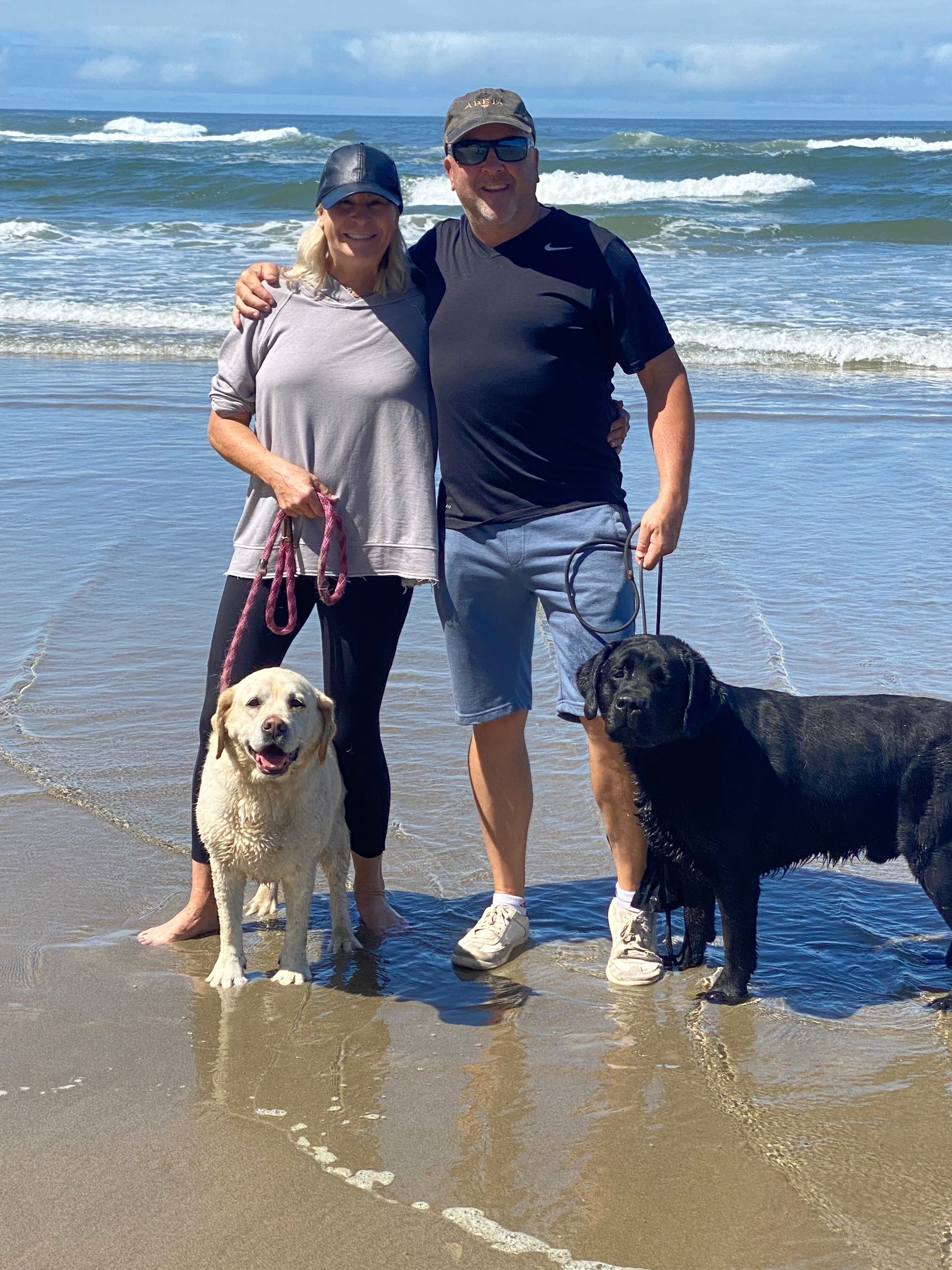 Devonshire Labradors | Gallery