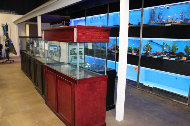 Aquarium Shop