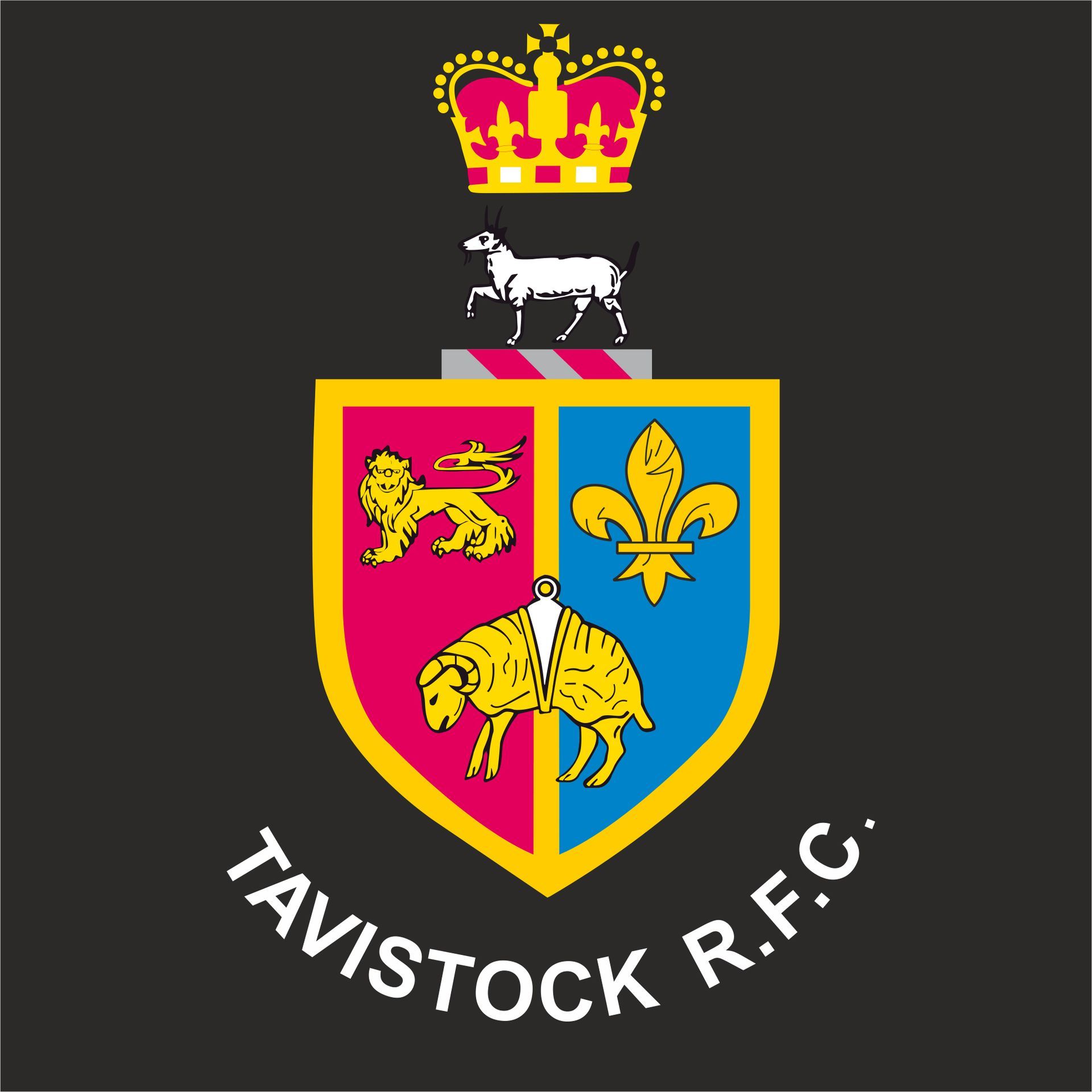 Tavistock 2nds Vs Salcombe