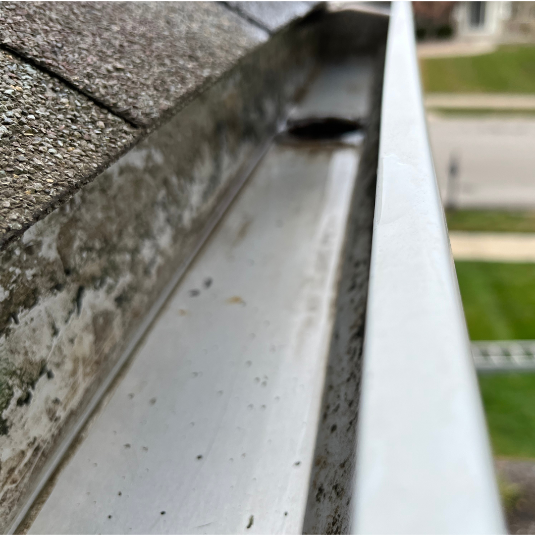 Gutter Cleaning Tips