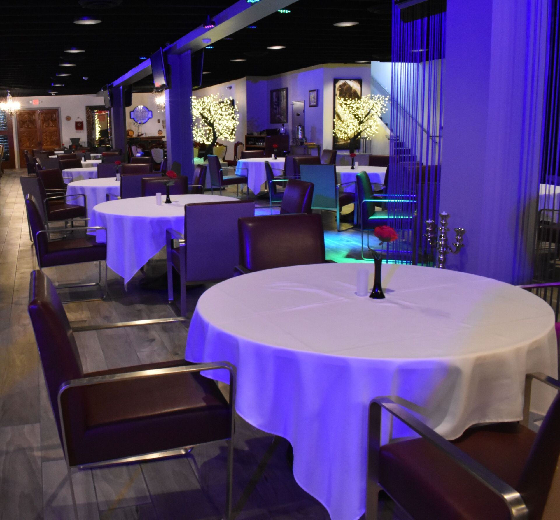 Balkan Bar and Grill | Mediterranean Restaurant