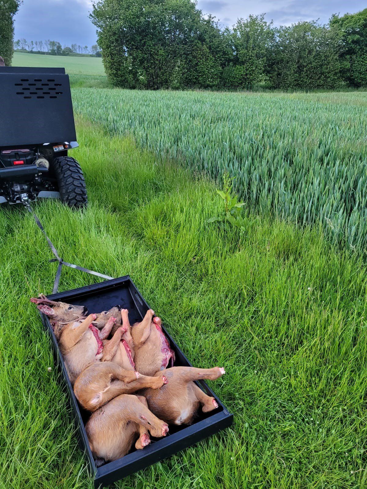 Deer Stalking Equipment & Sleds | Animal Transit Boxes