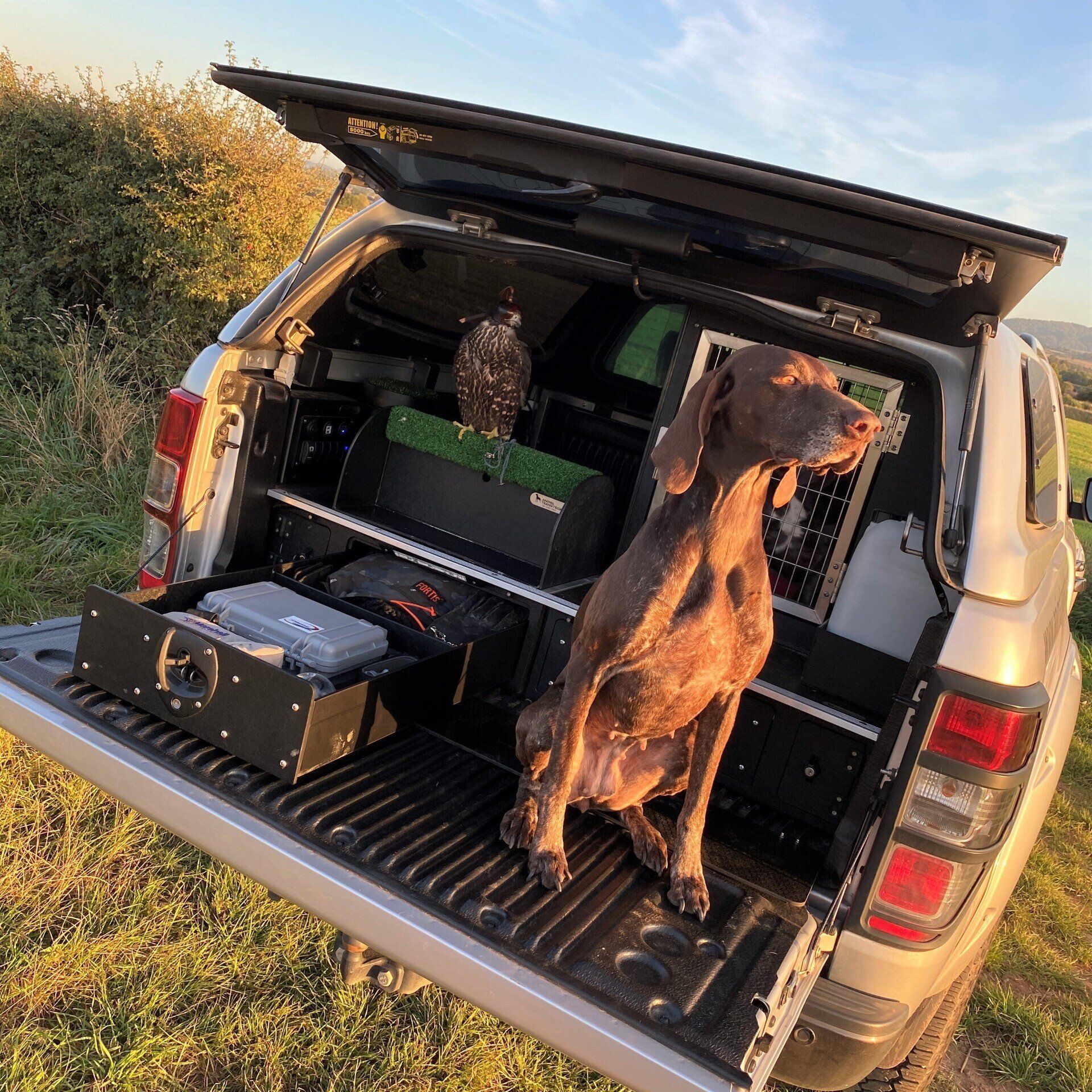 Falconry Equipment |Falconry Travel Box|Animal Transit Boxes
