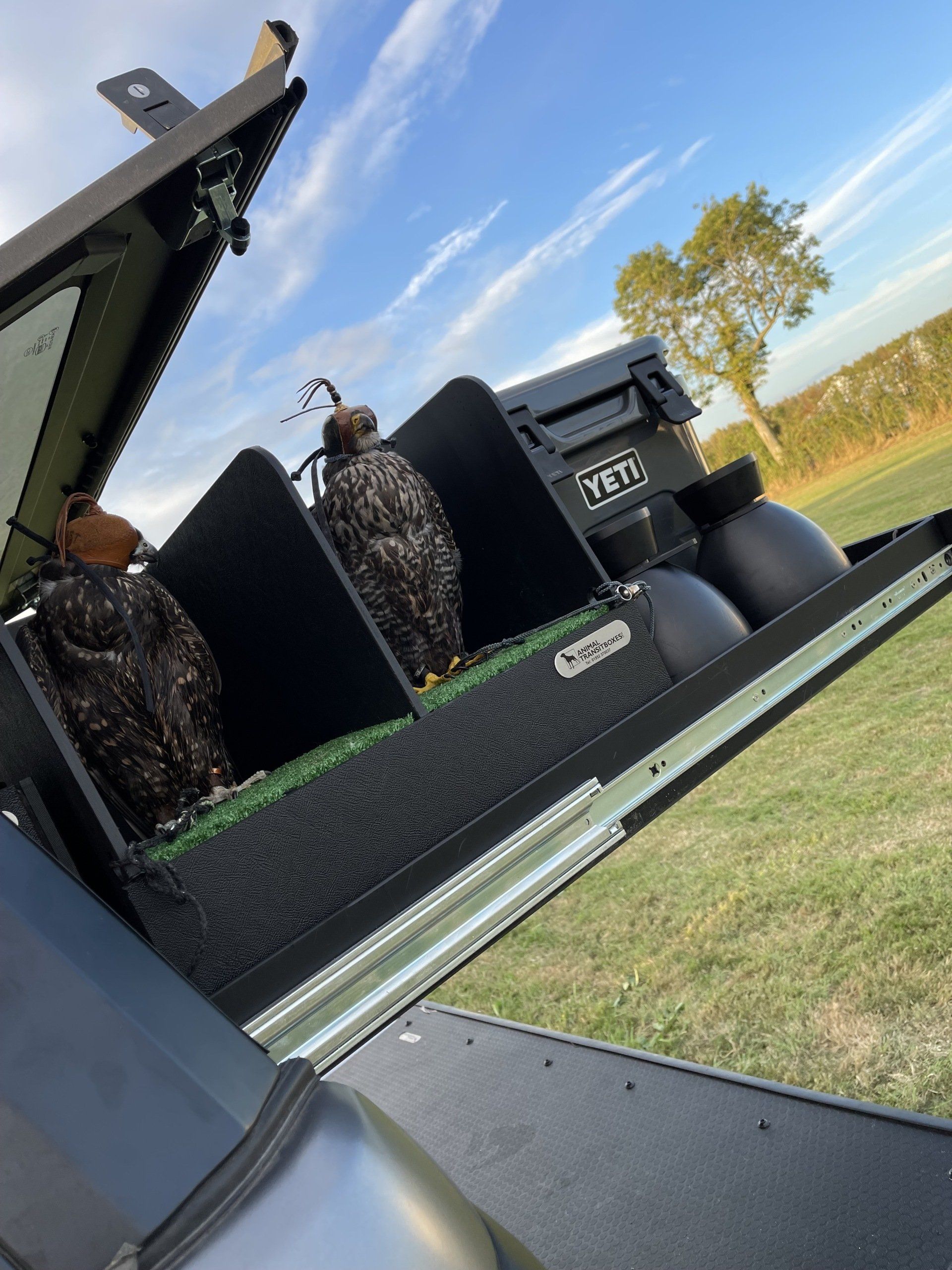 Car Boot Storage Box & Car Drawers | Animal Transit Boxes
