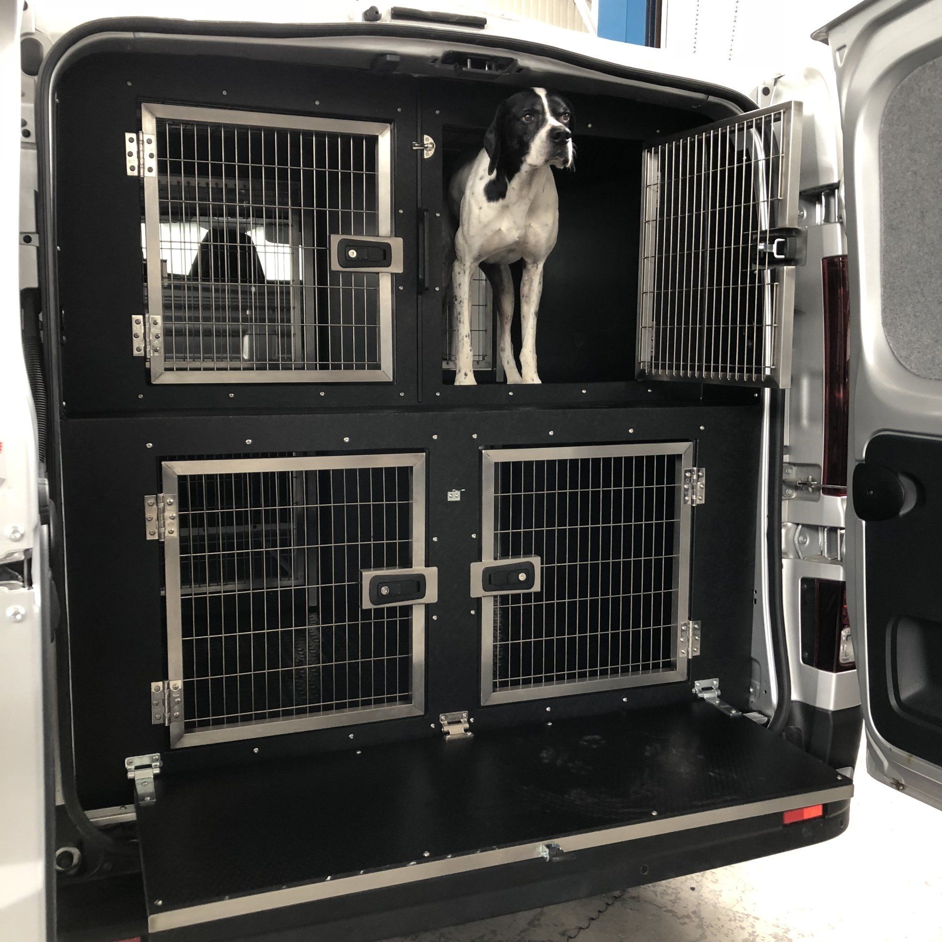 Animal Transit Boxes | Custom Dog Crates| Gallery