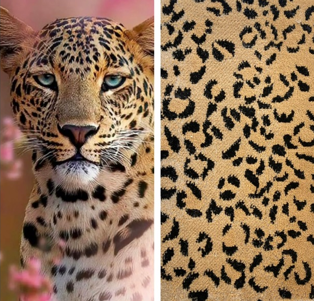 Stylish carpets from Animal Print Carpets in the UK