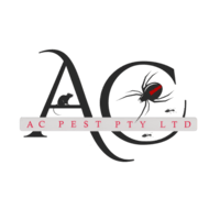 Pest Control Services in the Northern Rivers | AC Pest