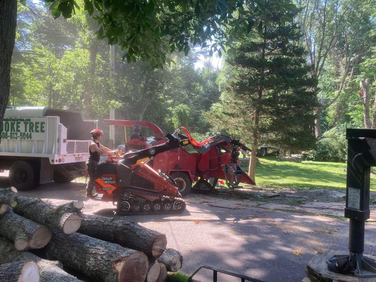 Brooke Tree Service - Top Rated Tree Removal - Sherborn, Dover, and ...