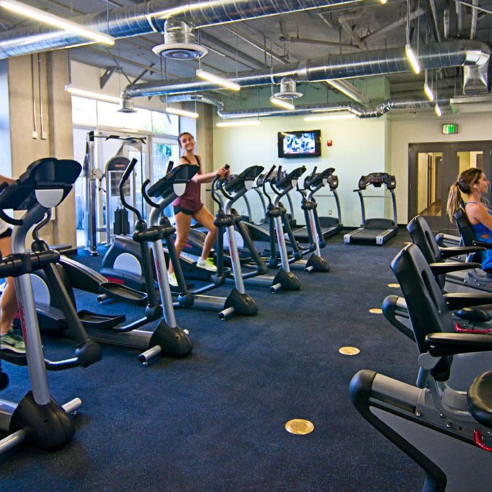 Student Housing in Isla Vista, CA | ICON