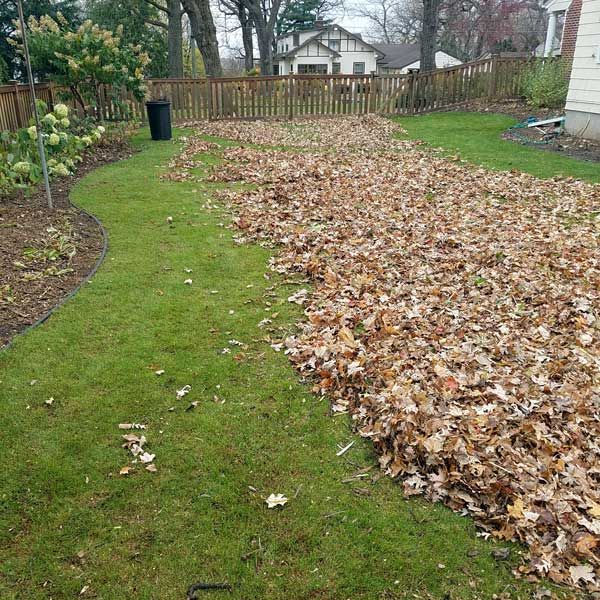 Fall clean up store