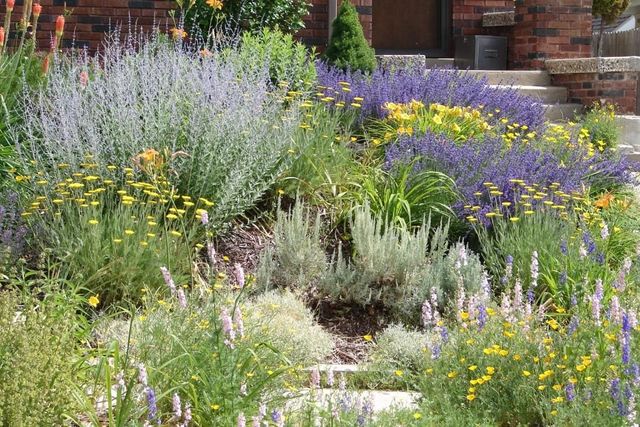 Pollinator Friendly And Native Plant Landscaping Rbullcity