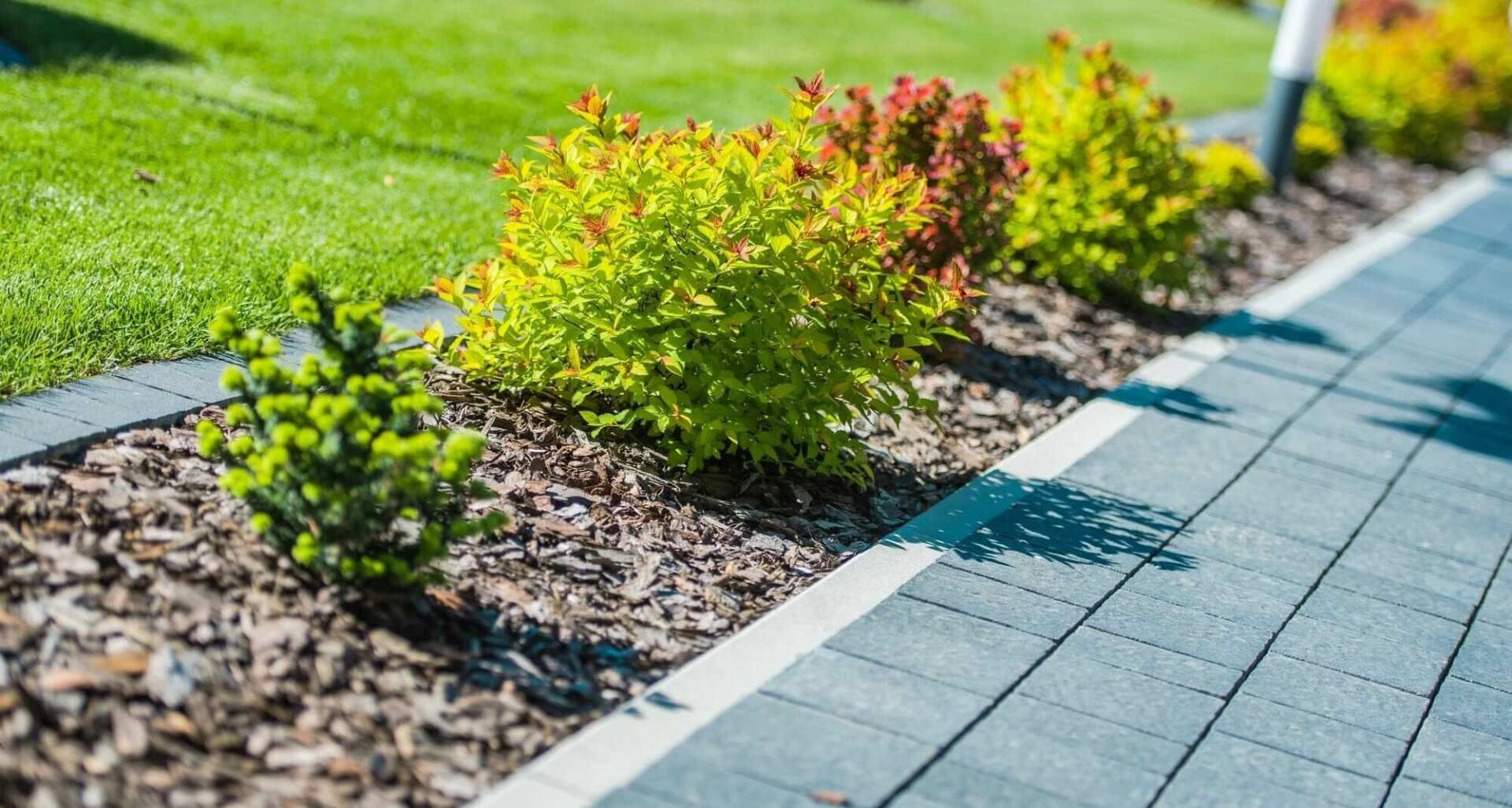 10 Plant and Landscaping Designs to Accompany Your Walkways | KG Landscape