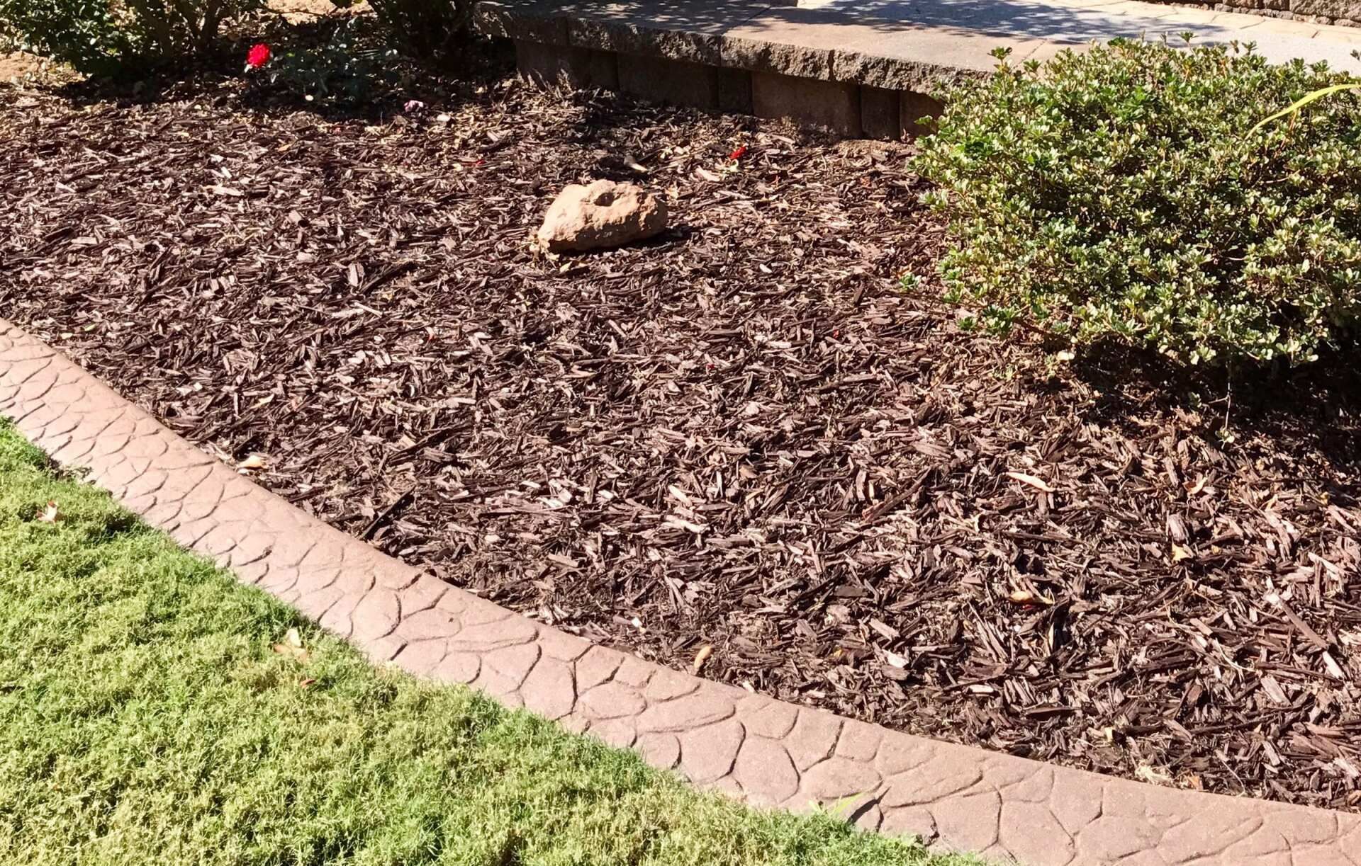 When to Replace Your Mulching