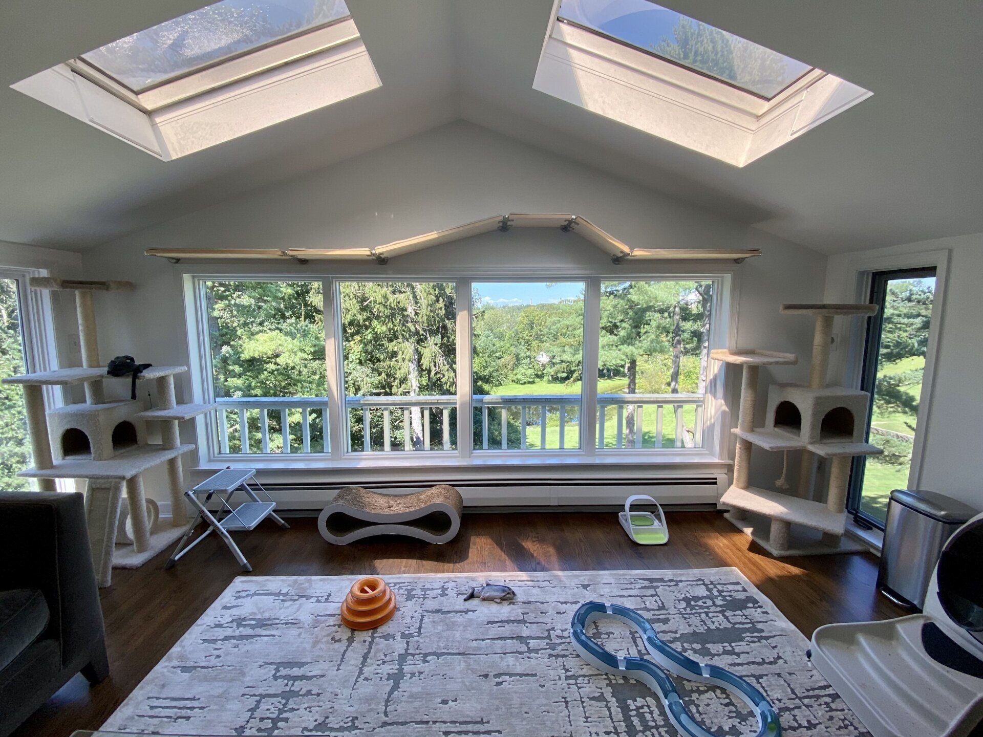 Cat Shelves, Cat Trees, Modern, Modular and Elegant Cat Furniture