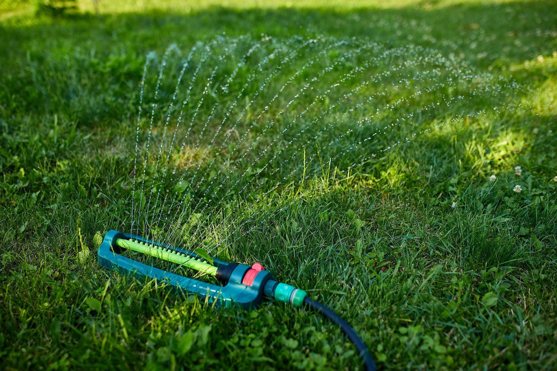 Innovative Irrigation System Installations for Ontario’s Unique Climate