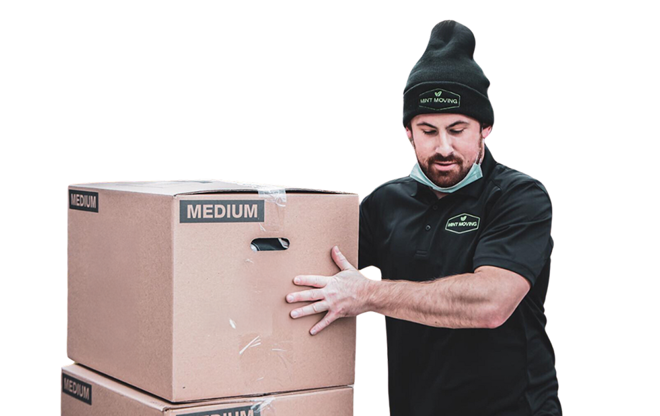 Home [www.movewithmint.com]