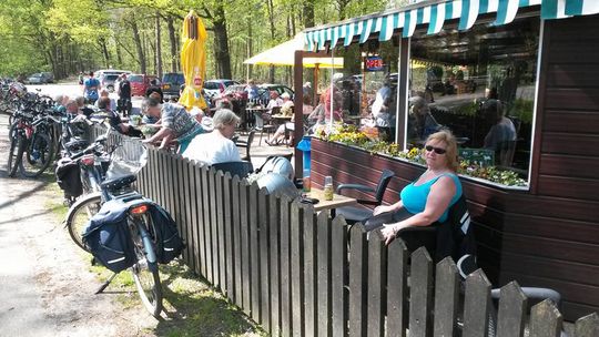 Home [www.halteassel.nl]