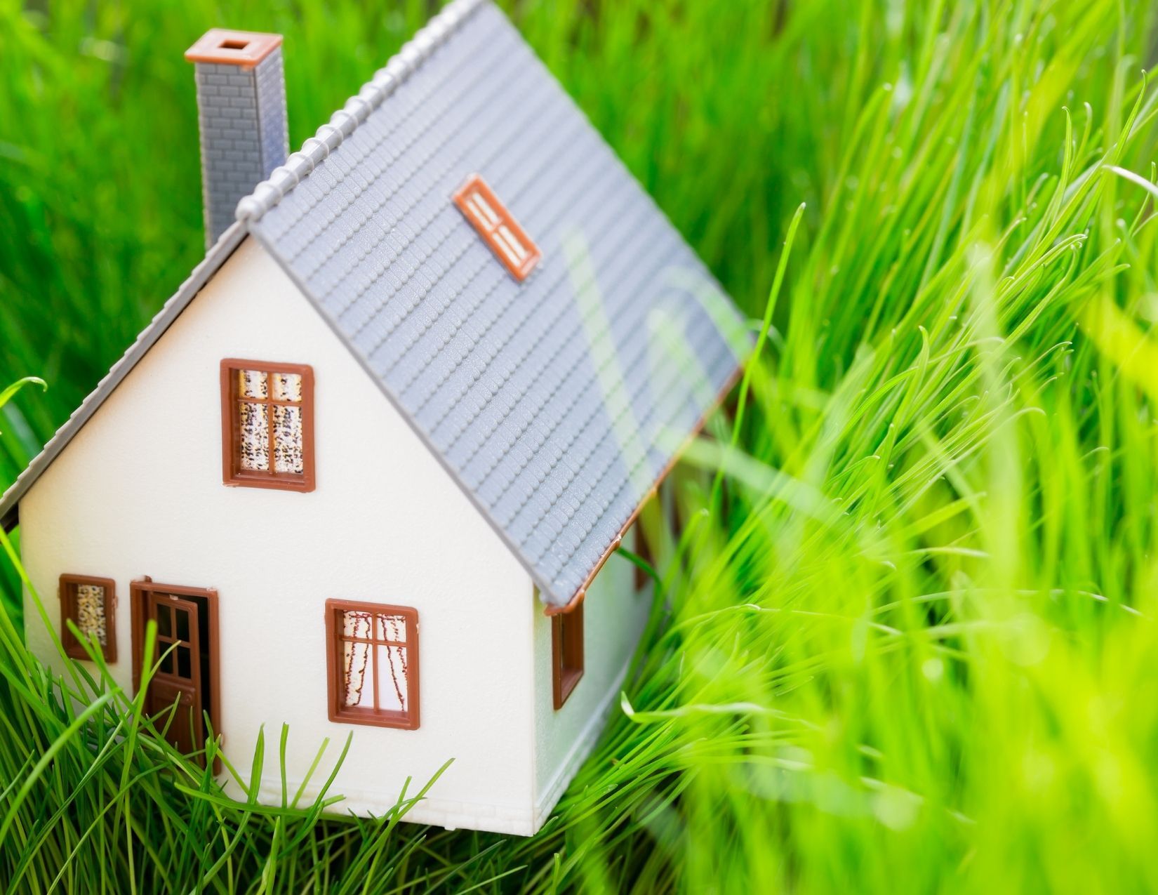 Spring into Action: Your Guide to Flourishing in the Abington Real ...