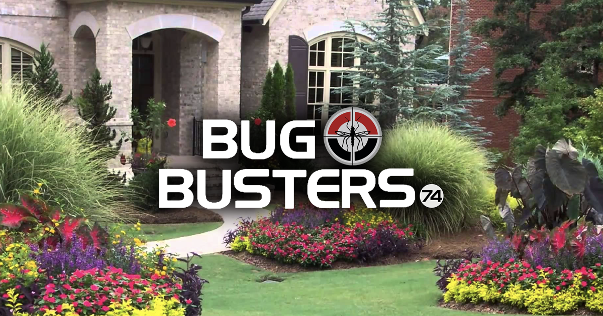 About | Bug Busters 74