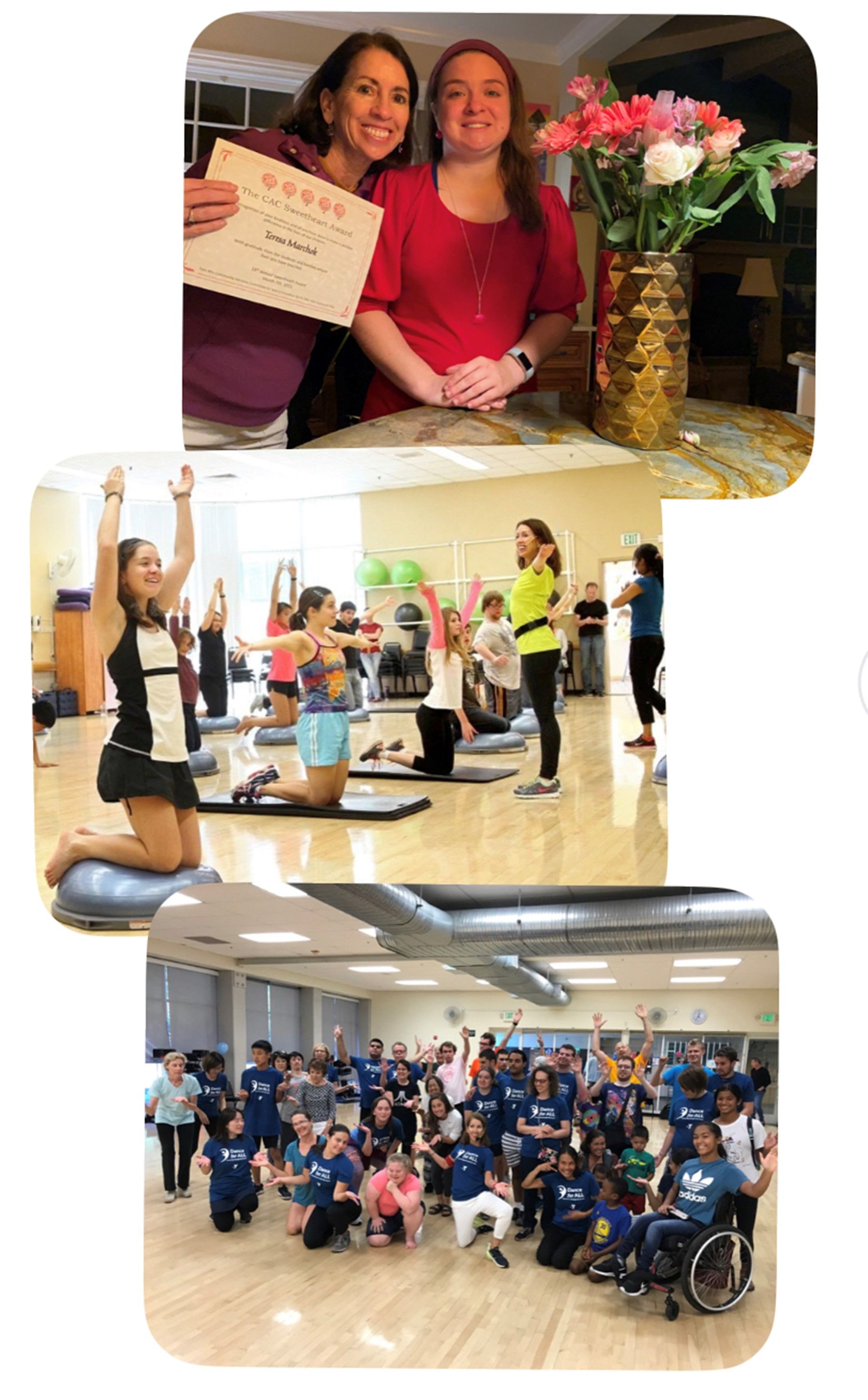 College of Adaptive Arts