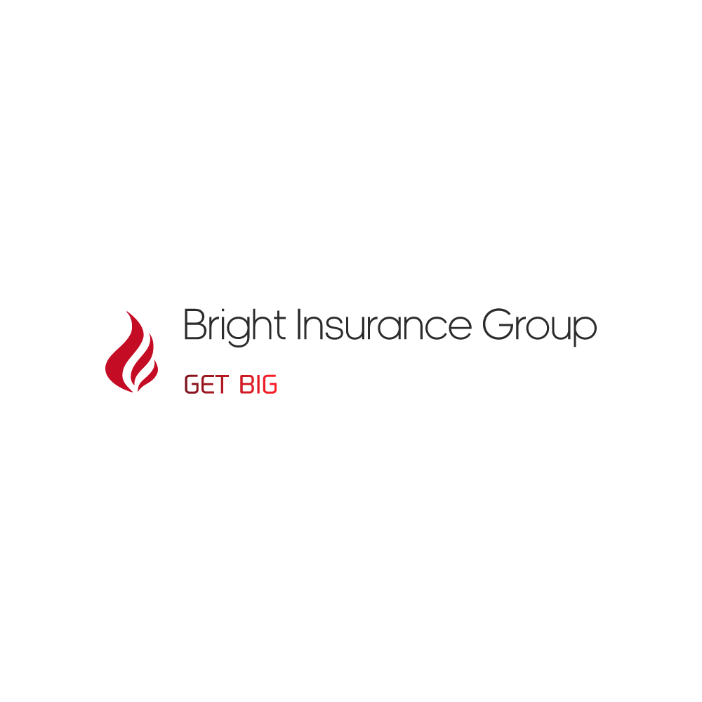 Bright Insurance Group LLC