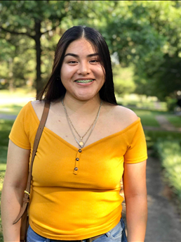 Athlete Chiropractors | Charlotte, NC | Greenapple Sports