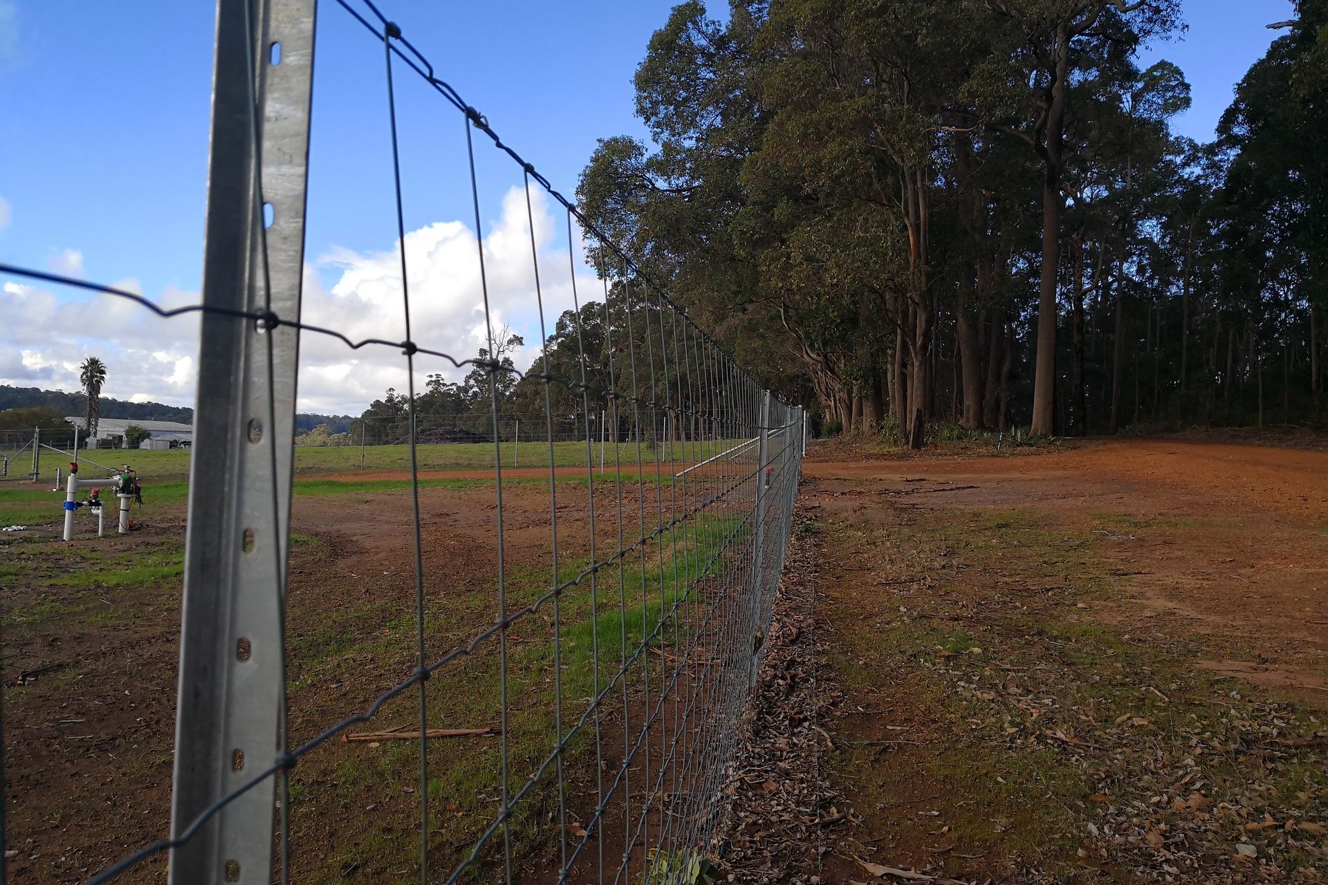 Fencing Benefits, Installation & Safety for Farmers