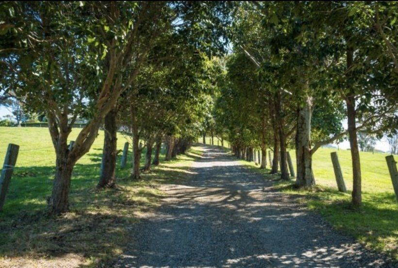 Fig tree Park Weddings and Luxury Accommodation