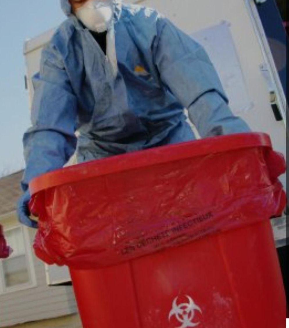 Expert Answers to Frequently Asked Questions on Biohazard Cleanup