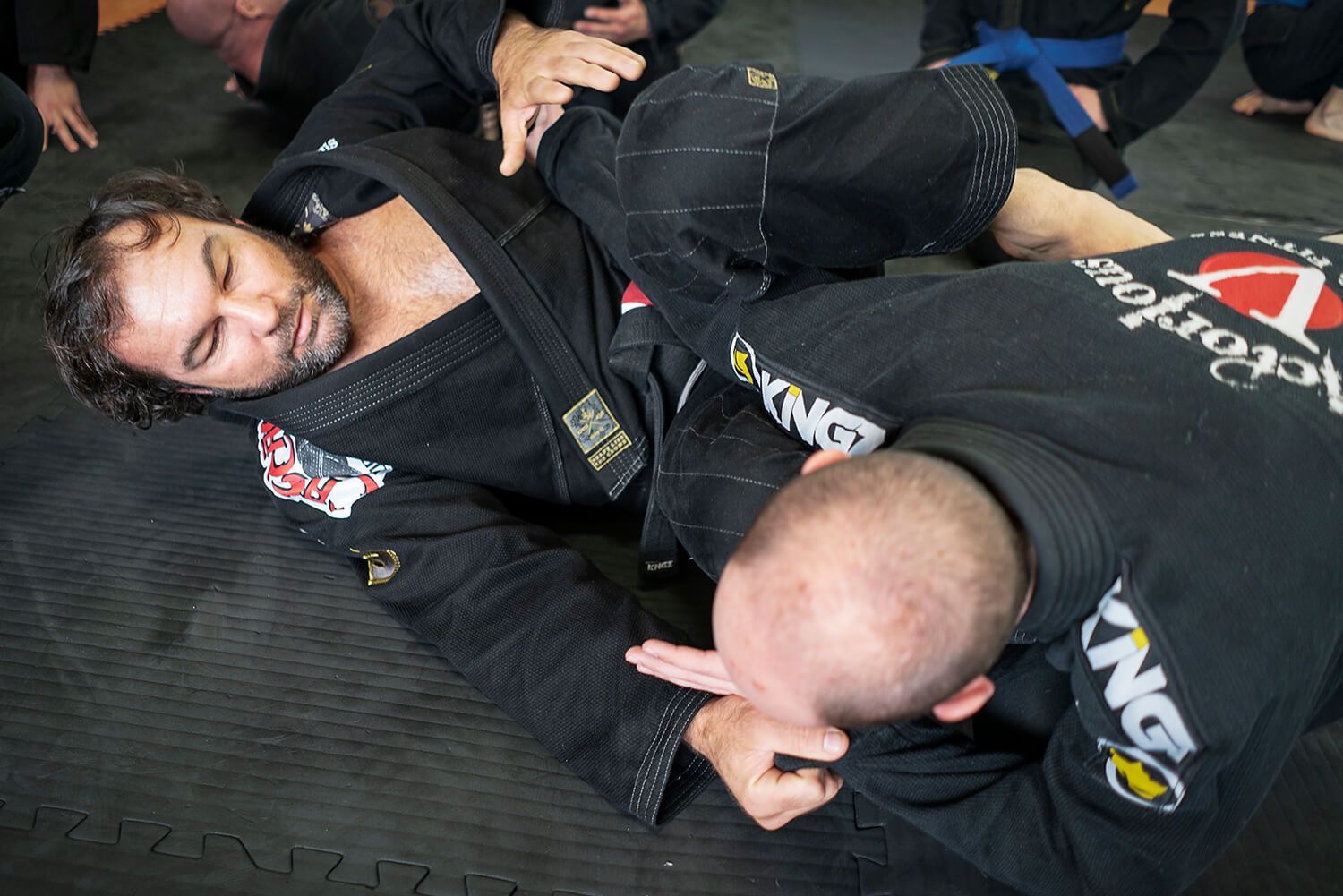 Brazilian Jiu Jitsu in Chesterfield, MI - Champion Jiu Jitsu