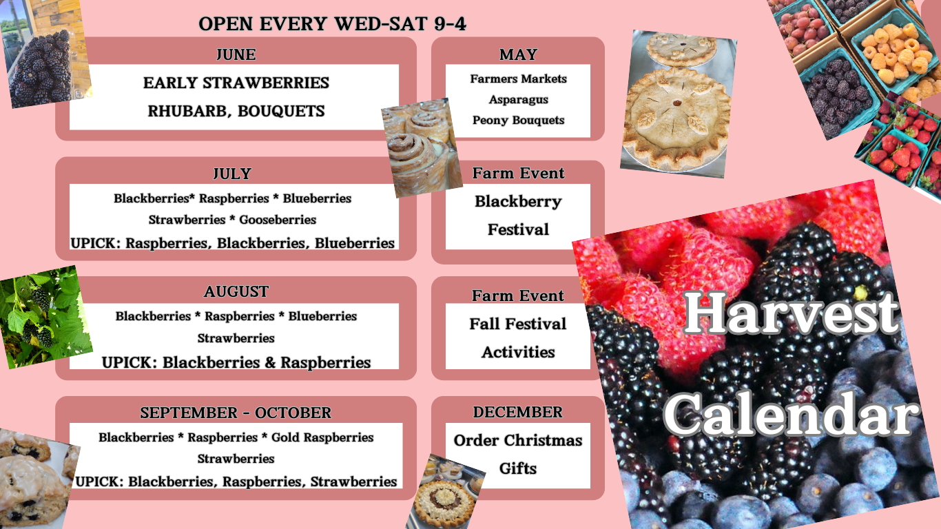 What's Ripe? | Yakima, WA | Ahtanum Berry Patch & Bakery