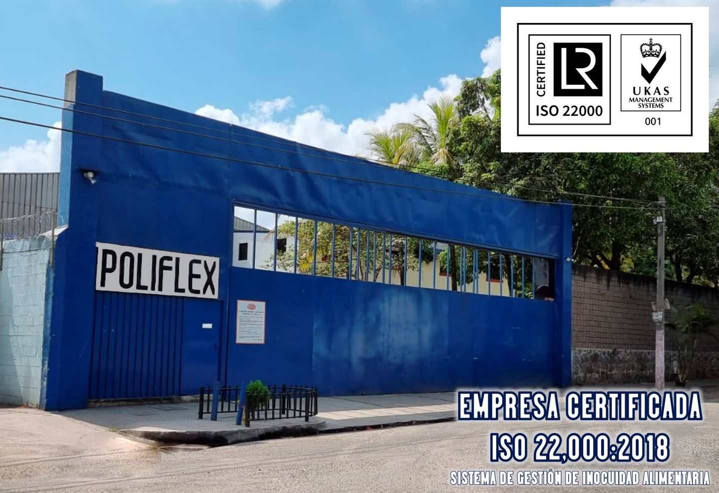 POLIFLEX S.A DE .C.V