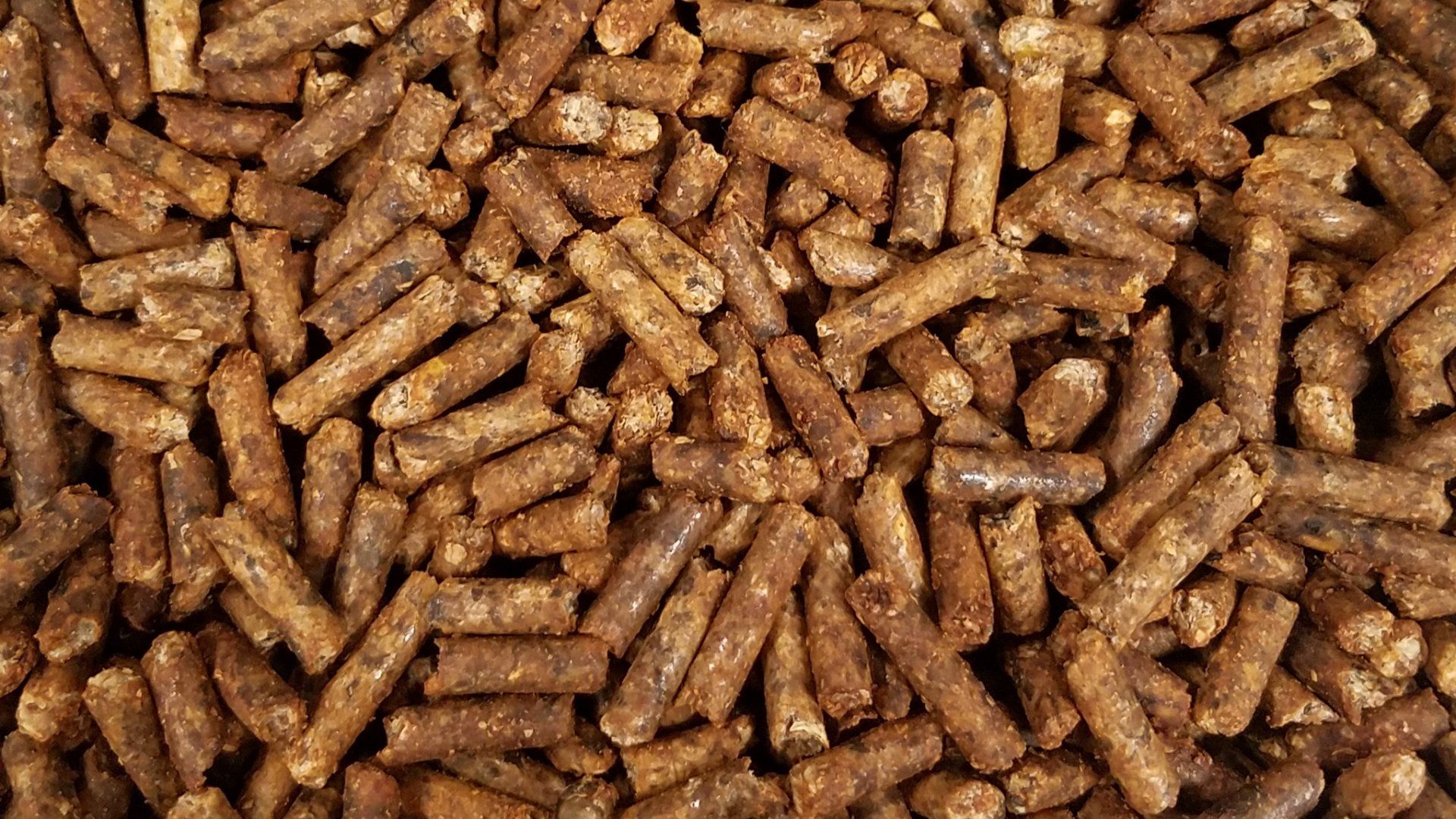 SCF| Horse Supplies | Horse Nutrition Feed Supplier | Horse Food