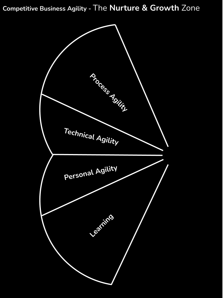 The Competitive Business Agility Framework - Summary