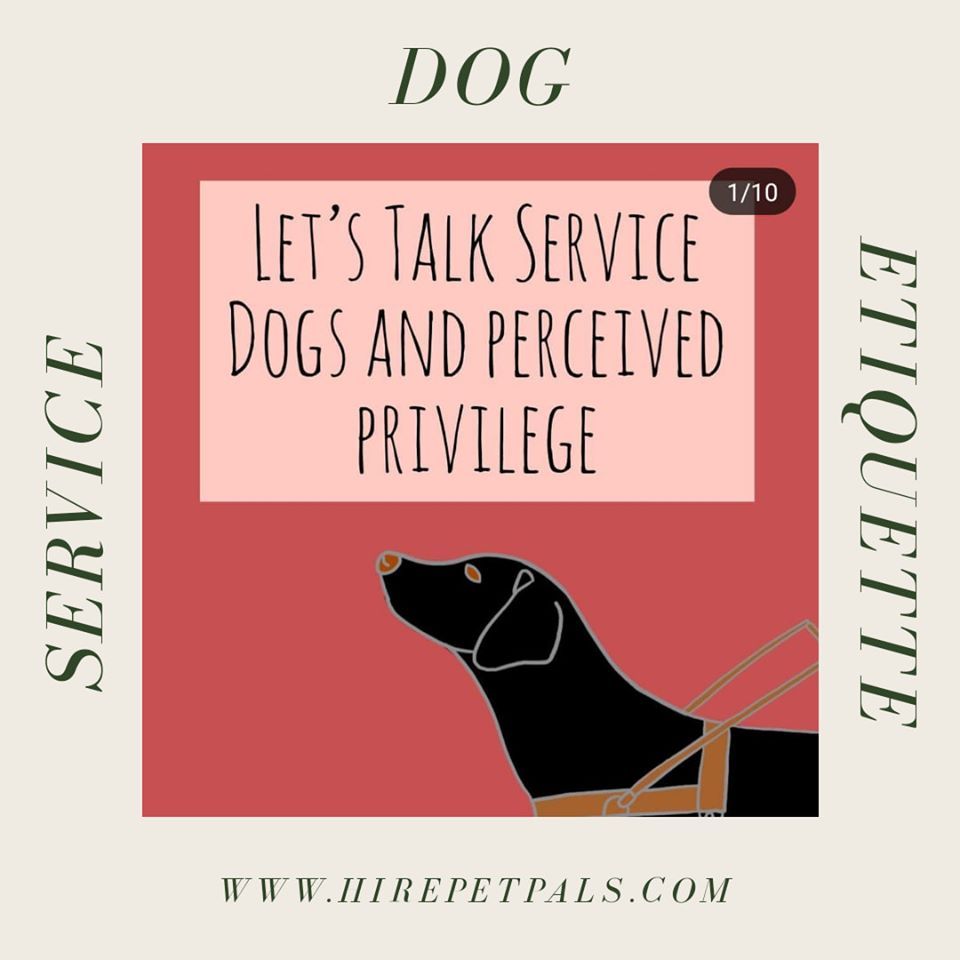 Do I Don't I - Service Dog Etiquette