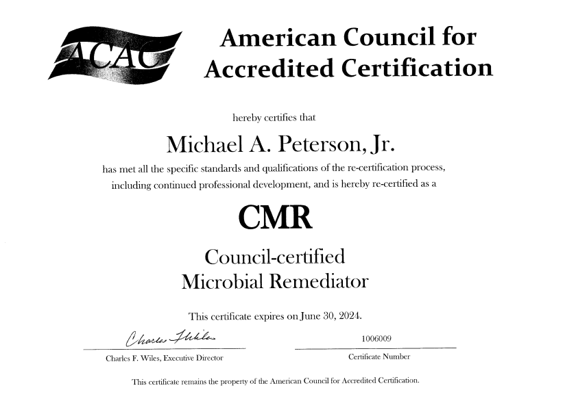 Mold Remediation | Fort Myers, FL | Emergency & Mold Specialist