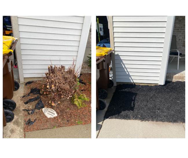 Landscaping + Power & Soft Washing In Greater Lansing
