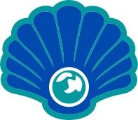Shell Education - Guardianship and Educational Company