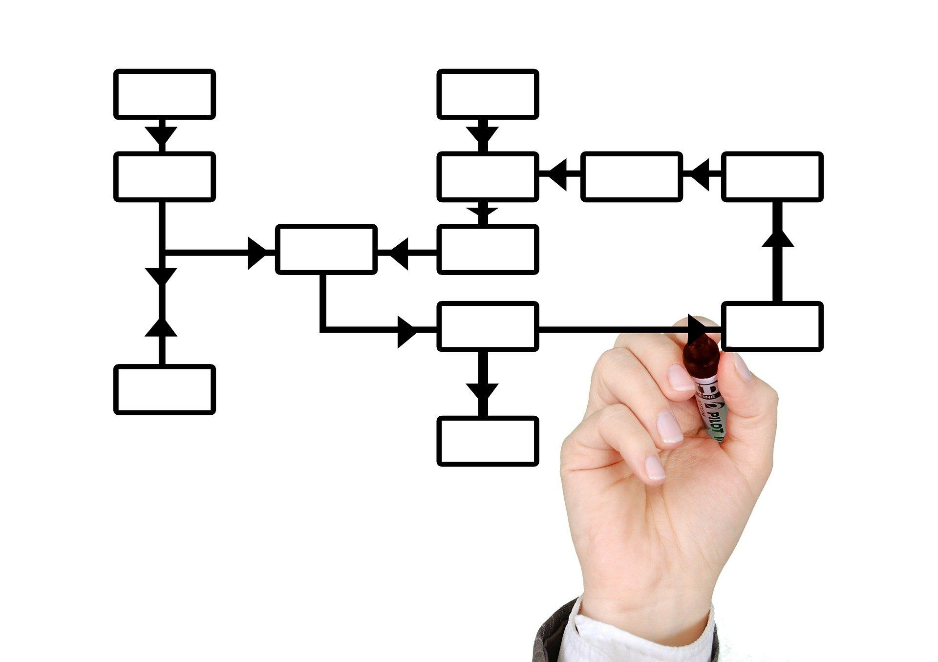 Importance of a Strong Organizational Structure