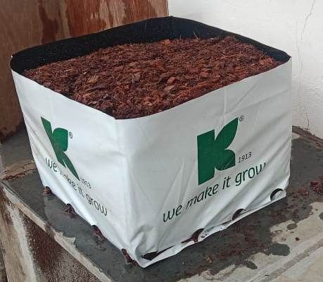Coco Coir: Sustainable, Organic Growing Medium