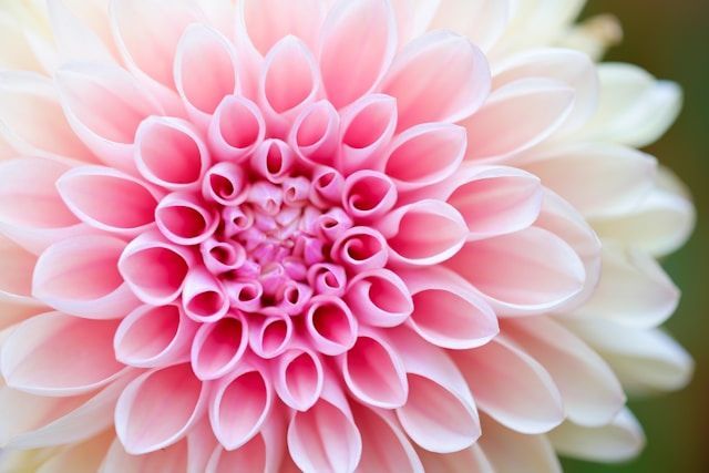 Social media's role in modern grieving and memorialization