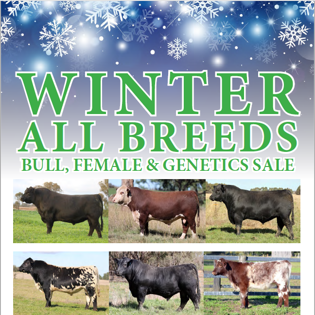 Winter All Breeds Bull, Female & Genetics Sale 2024