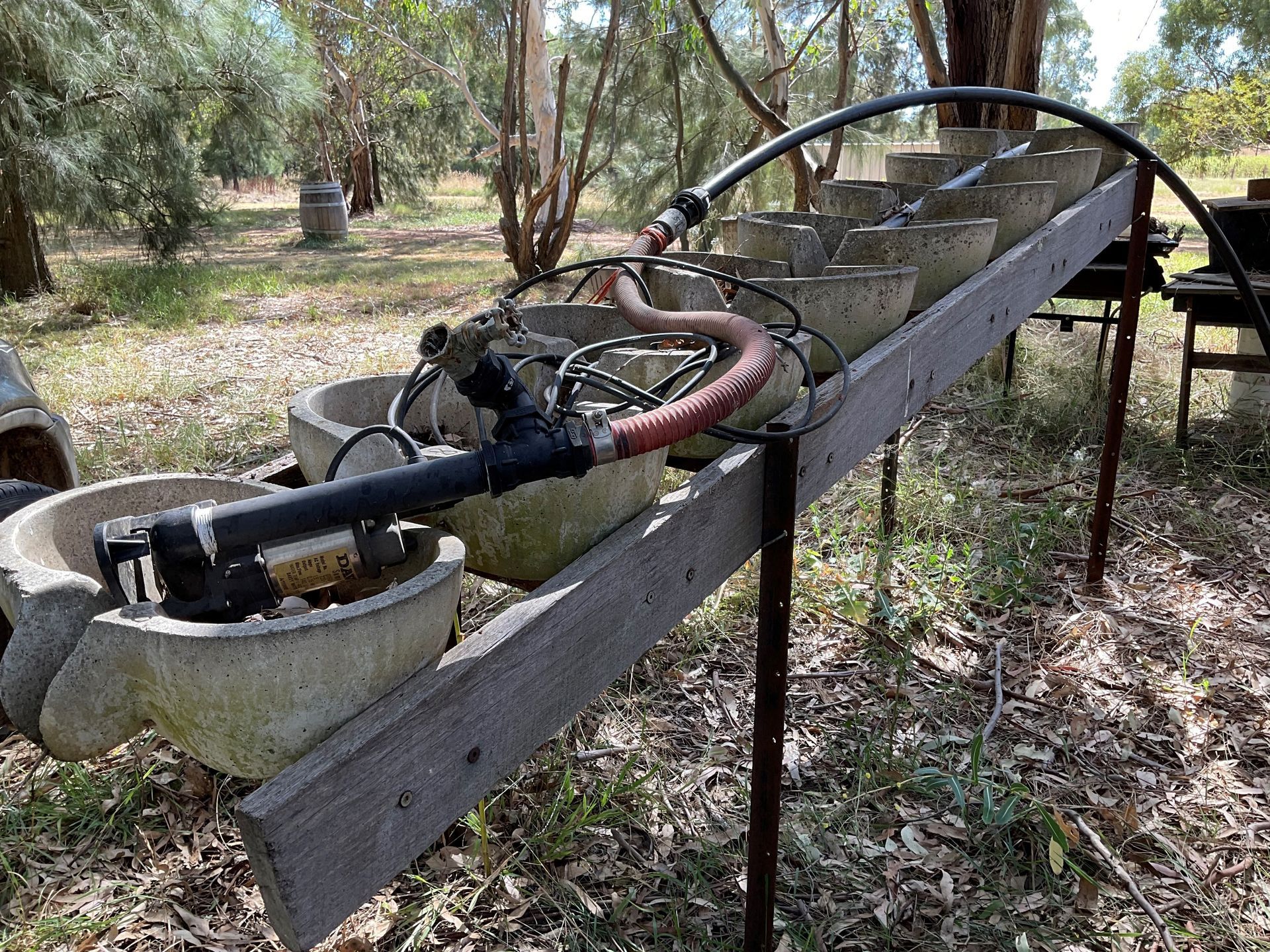 H. Francis & Co - Wagga Wagga, NSW - Clearing Sales