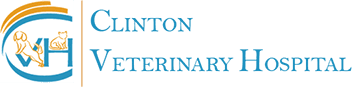 Veterinary Hospital | Clinton, Massachusetts| Clinton Veterinary Hospital