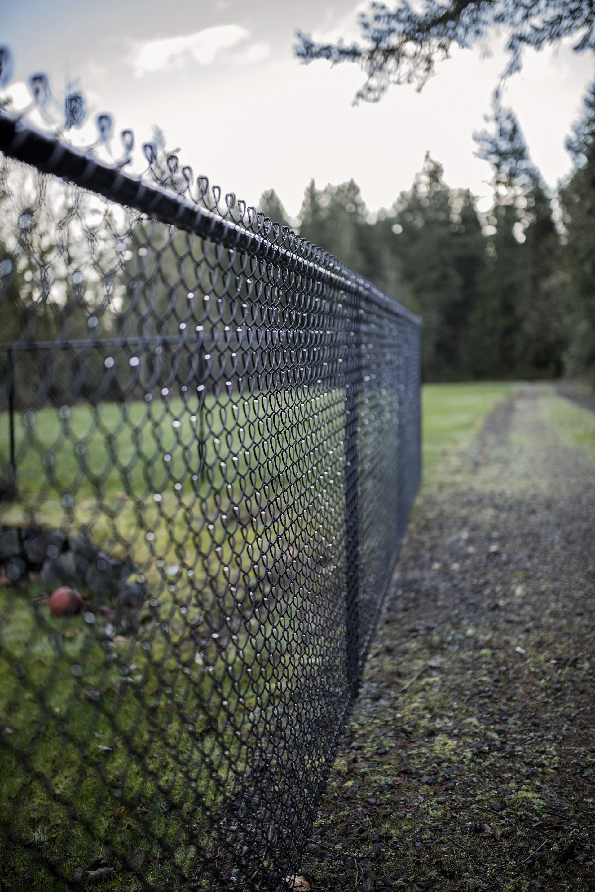 About Our Team - Gig Harbor, WA - Northwest Fencing
