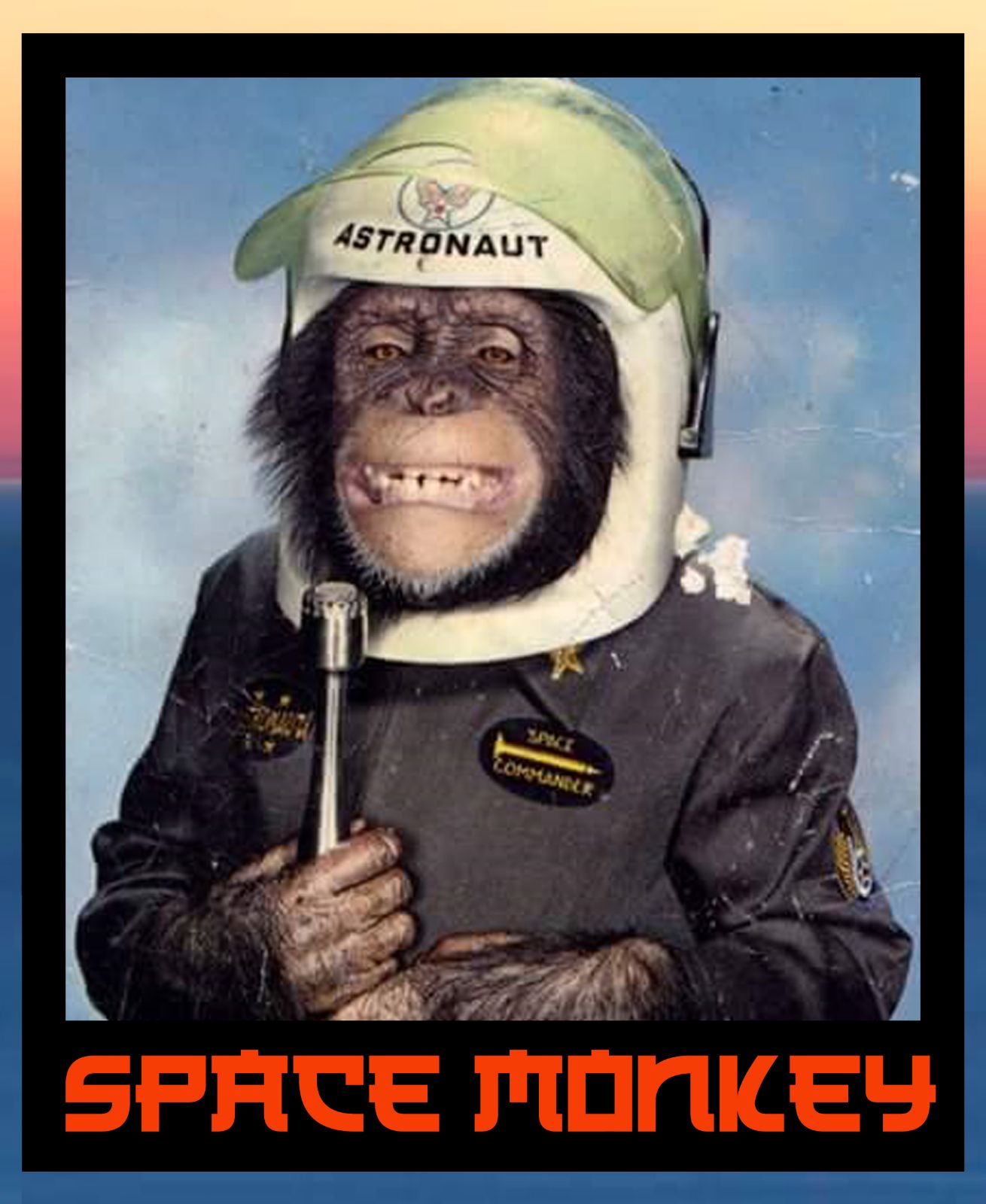 Space Monkey Design - We Design Space